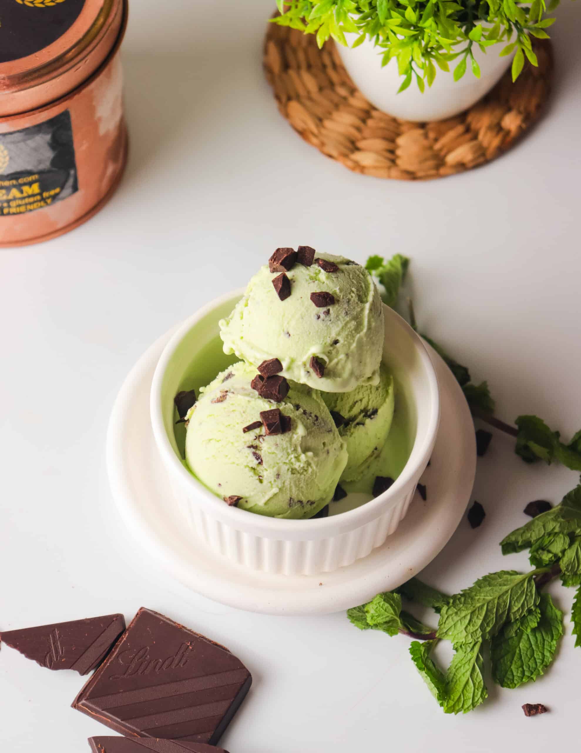 Mint Chocolate Chip (Sugar Free, Low Carb, & Gluten Free) - OUT OF ...